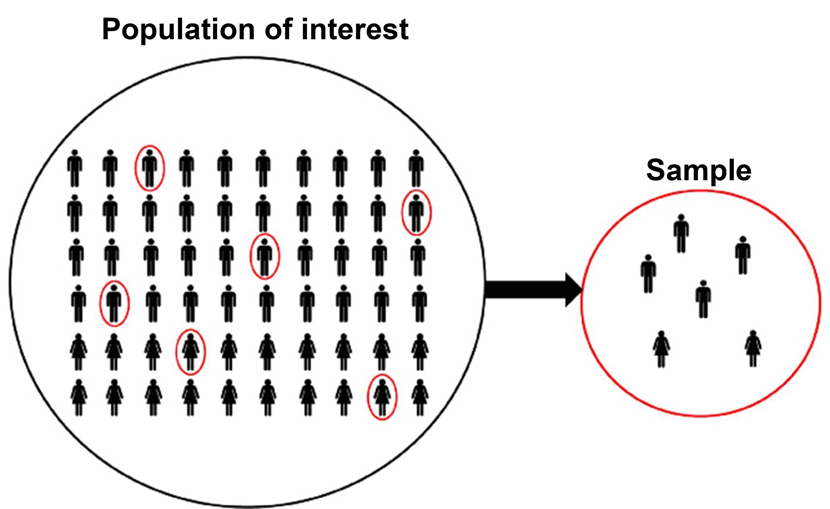 Why Study A Sample Studying The Whole Population Is almost Always Practically Impossible 